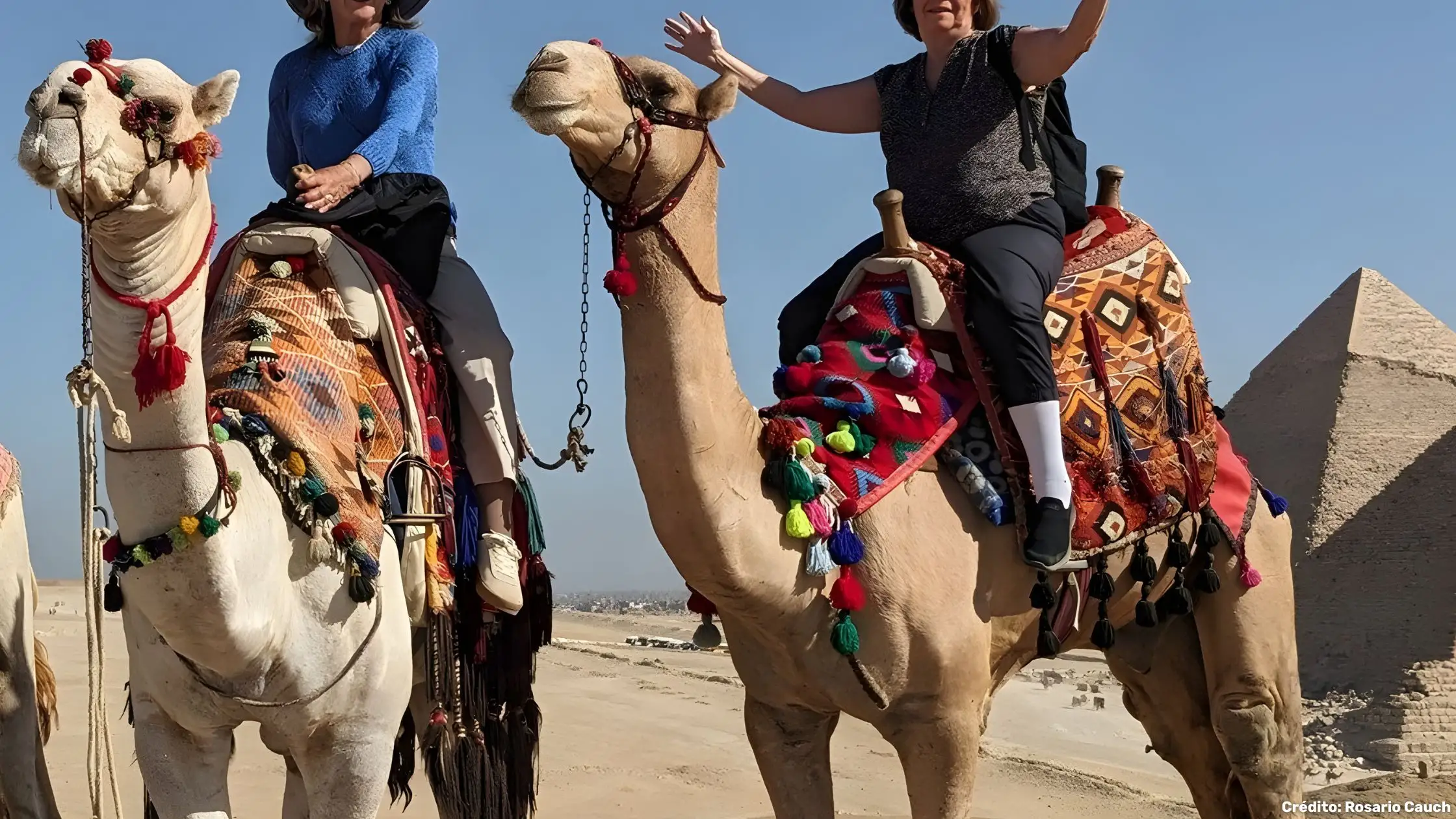 El sufrimiento oculto de los camellos en Egipto | Desafío 22